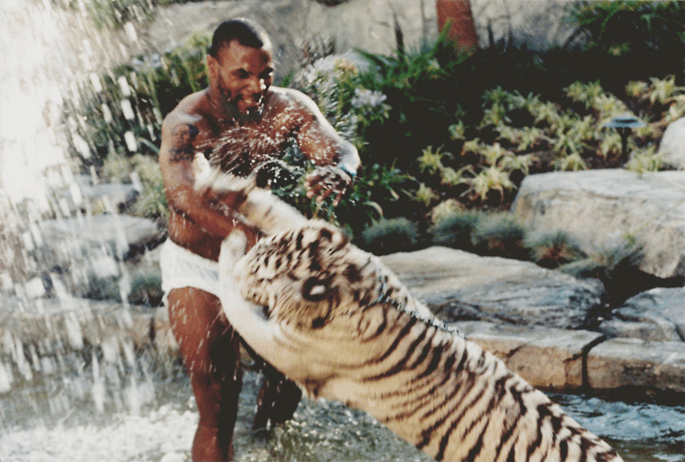 Mike Tyson’s Personal Life: Family, Hobbies, and Life